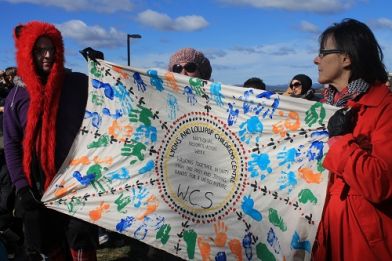 The WCS Story - Woden Community Service